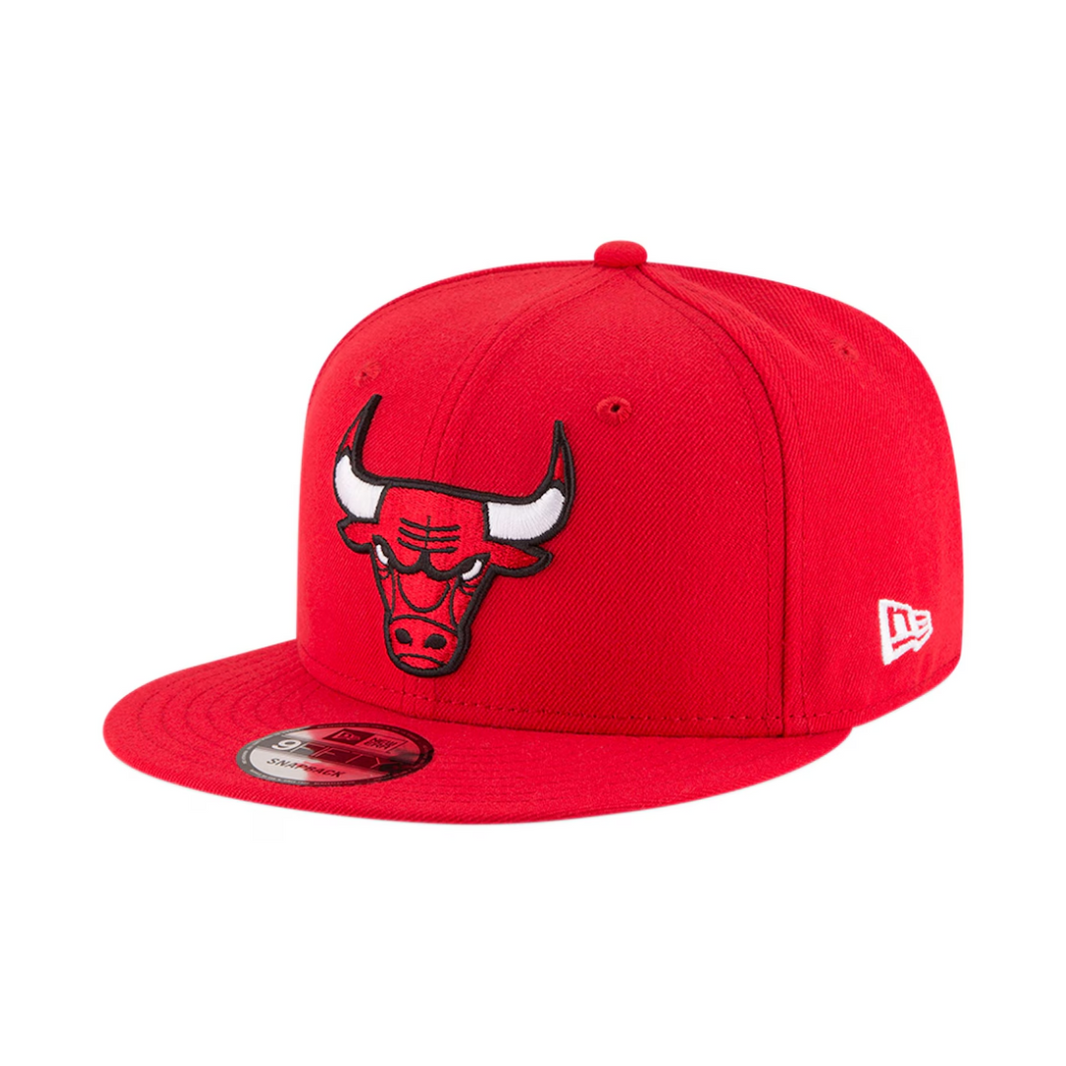 Chicago Bulls – THE FAN