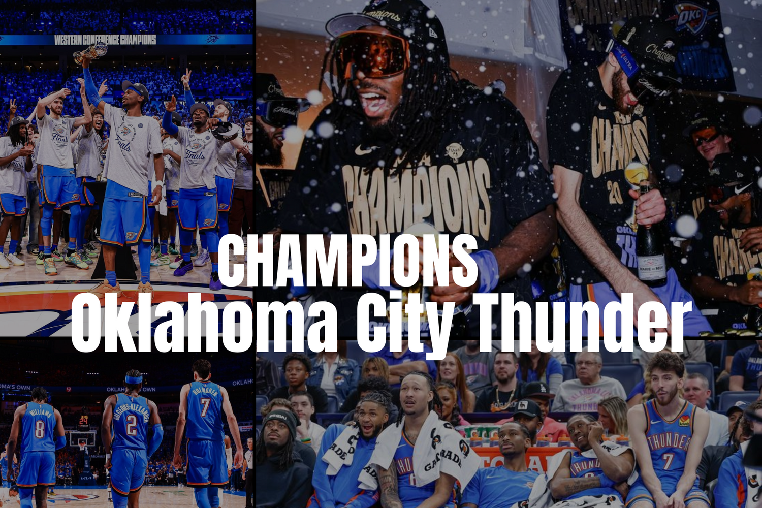 NBA – THE FAN